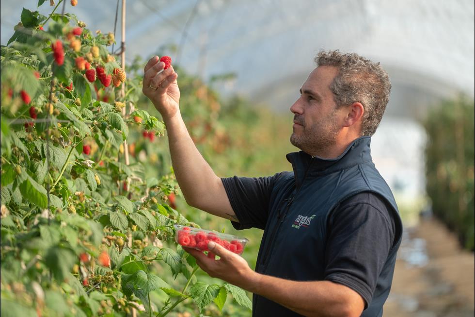 Angus Soft Fruits: 30 and thriving | Features | Fruitnet